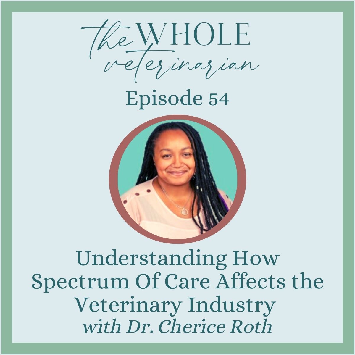 Episode 54 - Understanding How Spectrum Of Care Affects the Veterinary ...